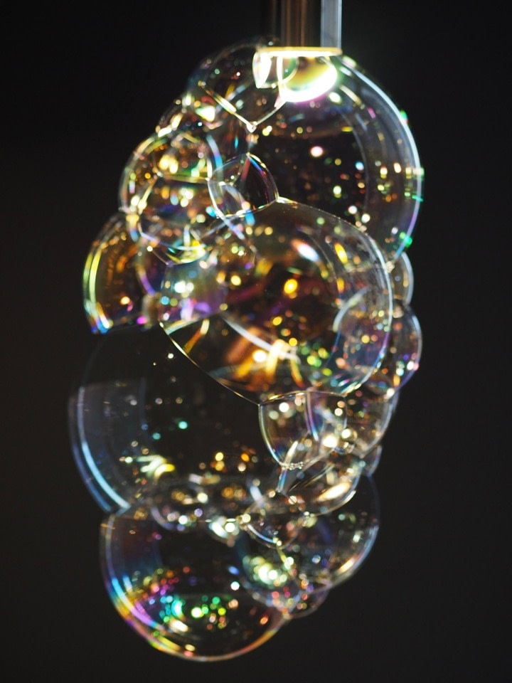 Magic Bubbles - Frank Herter