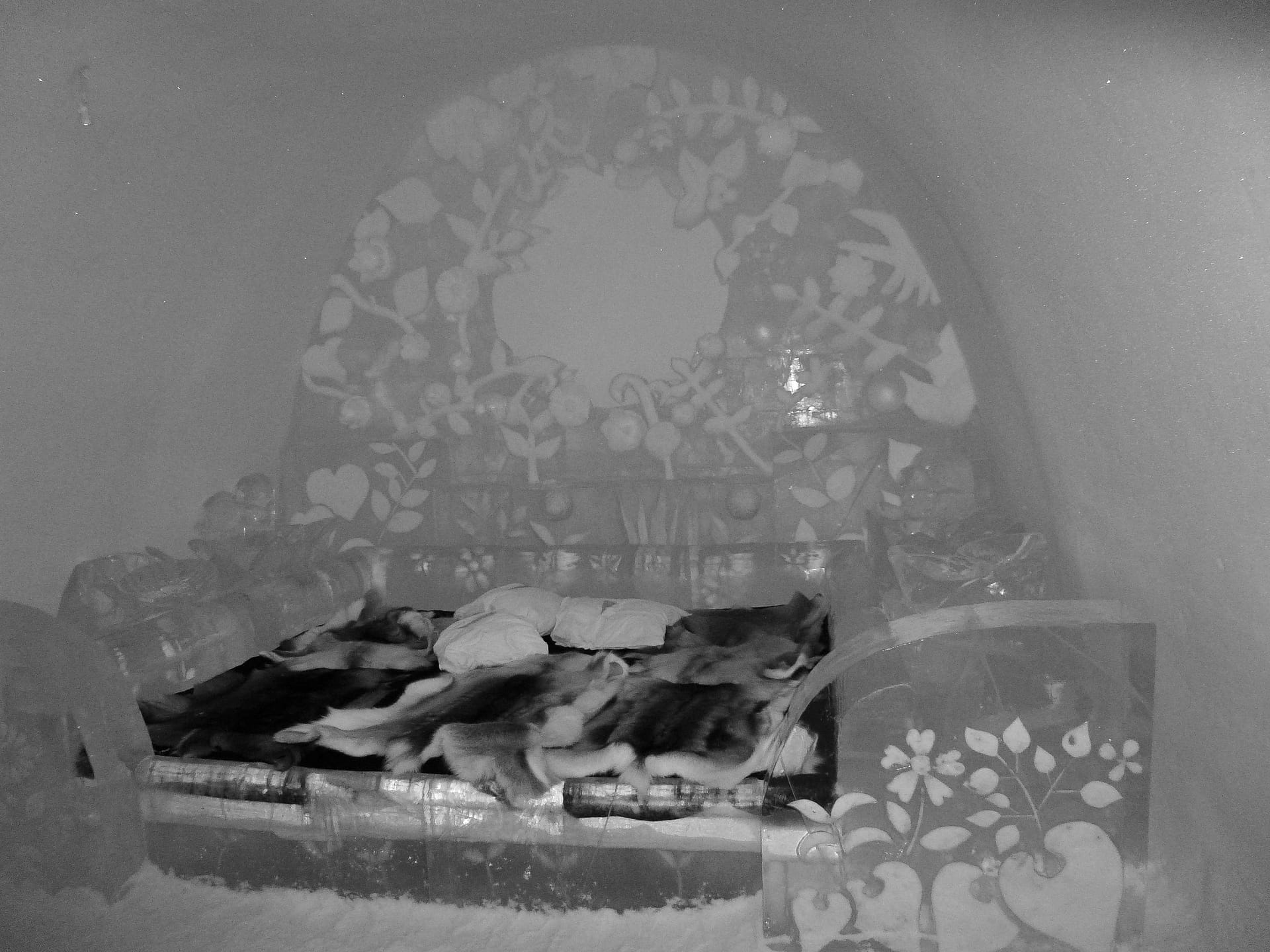 Ice Bed - Frank Herter