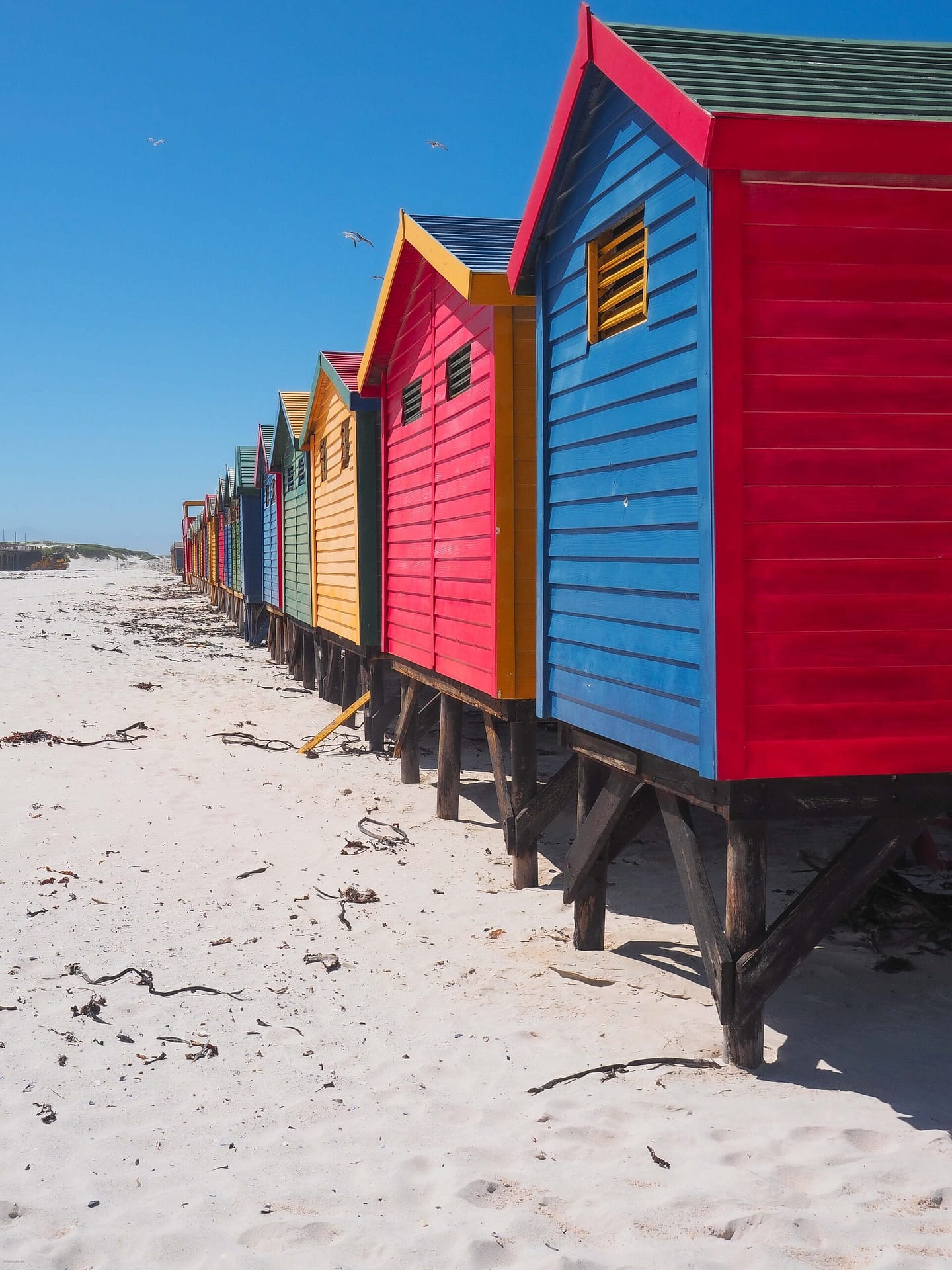 Muizenberg - Frank Herter